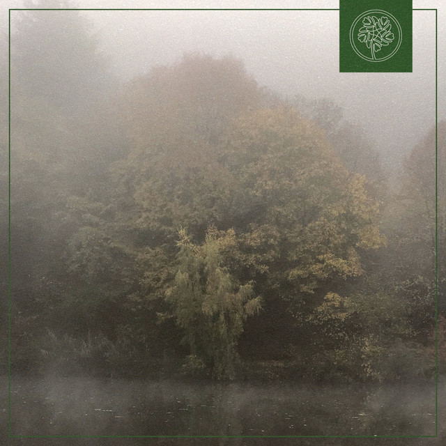 Wiz Key - Moon Tree (ft. Beats for Trees) | Stereofox Music Blog