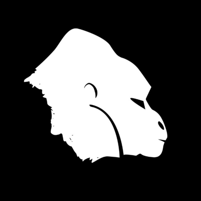 Tomh. Artist Profile | Stereofox Music Blog - discover new music