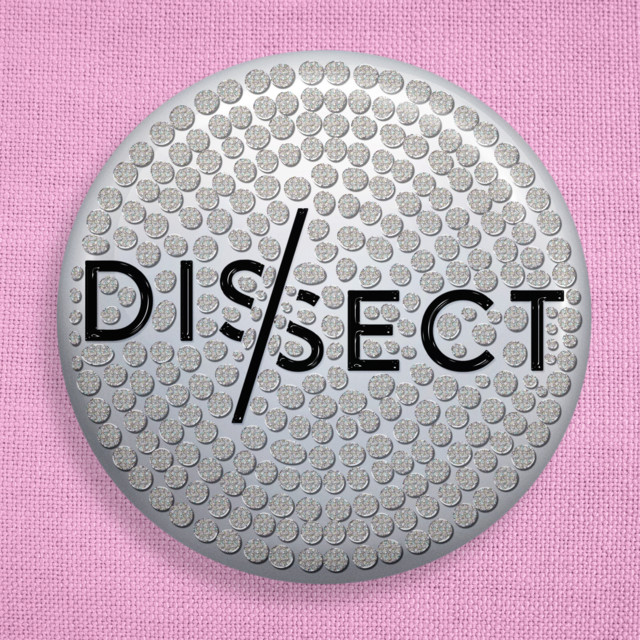 Birocratic - Theme from Dissect S10 | Stereofox Music Blog