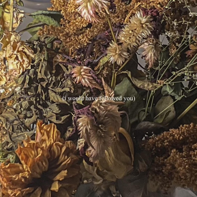 Delaney Bailey Takes Your Breath with "j's lullaby (darlin' i'd wait ...