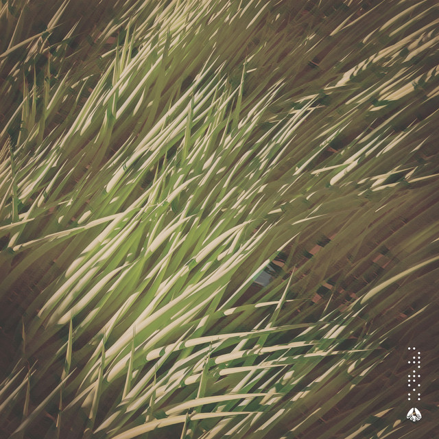 RINZ. x Uevo - Endless Breeze | Stereofox Music Blog