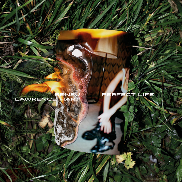 Sensu & Lawrence Hart Share an Emotional Banger Titled "Perfect Life ...