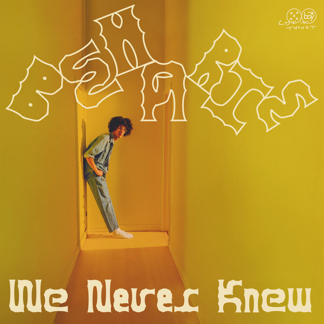 Norwegian Indie Soul Artist Beharie Unveils the New Single "We Never ...