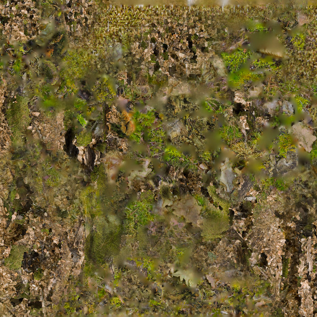 Fakear Returns With a Breathtaking New Single "Inner Forest ...