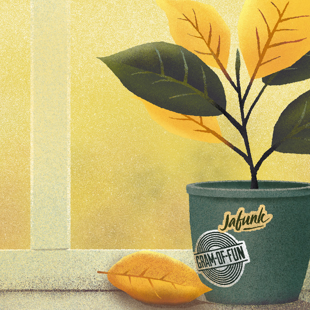 Gram-Of-Fun - Complicated Plant (Jafunk Remix) | Stereofox Music Blog