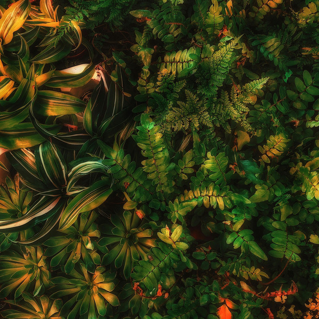 Sappheiros - Need You To Stay | Stereofox Music Blog