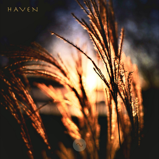 German Producer Sine Shares Warm Downtempo Single "Haven" | Stereofox ...